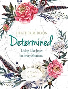 determined - women's bible study participant workbook: living like jesus in every moment