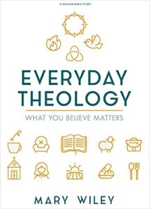 everyday theology - bible study book: what you believe matters