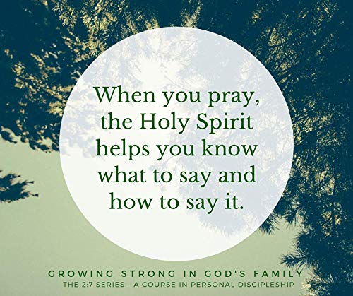 Growing Strong in God's Family: Rooted and Built Up in Him (The 2:7 Series)