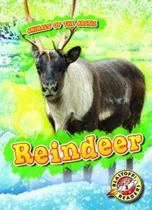 reindeer (animals of the arctic)