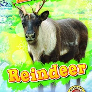 Reindeer (Animals of the Arctic)