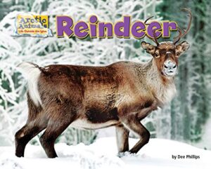 reindeer (arctic animals: life outside the igloo)