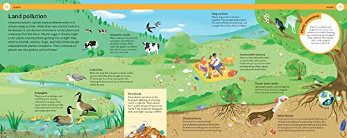 Why Does Plastic Hurt the Planet?: How our stuff is harming the Earth, and what you can do to reduce your use (Mind Mappers)