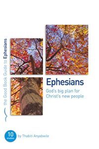 ephesians: god's big plan for christ's new people (good book guides)