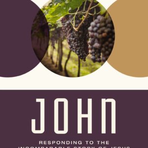 John: Responding to the Incomparable Story of Jesus (New Testament Everyday Bible Study Series)