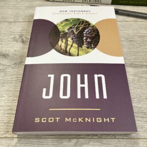 John: Responding to the Incomparable Story of Jesus (New Testament Everyday Bible Study Series)