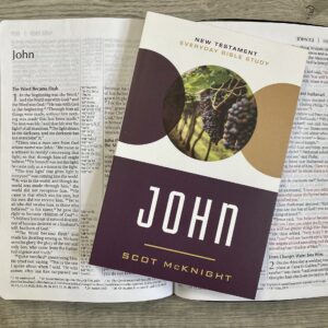 John: Responding to the Incomparable Story of Jesus (New Testament Everyday Bible Study Series)