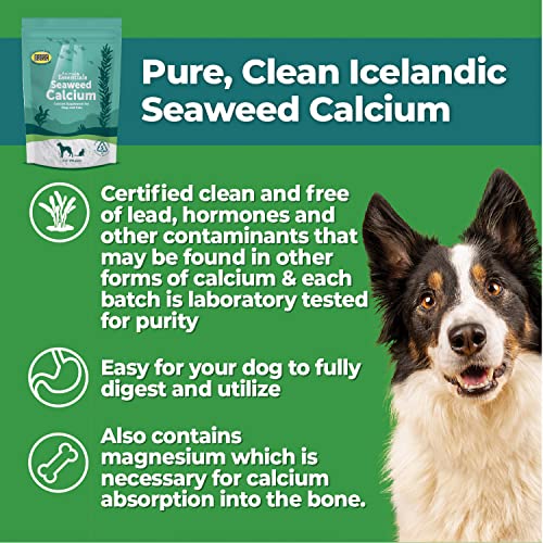 Animal Essentials Seaweed Calcium Supplement for Dogs & Cats, 12 oz, Iceland Seaweed Magnesium, Boron, Zinc