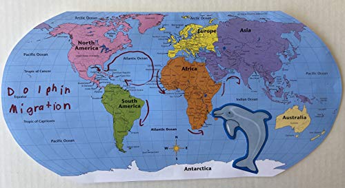 8” x 16” Labeled World Practice Maps, 30 Sheets in a Pack for Social Studies, Geography, Map Activities, Drill and Practice, Current Event Activities, Learning Games and More