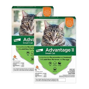 advantage ii for small cats 5-9 lbs by bayer 12 month supply