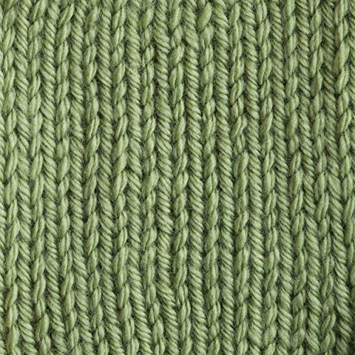 Bernat Satin Solid Yarn, 3.5 oz, Gauge 4 Medium Worsted, 100% Acrylic, Fern