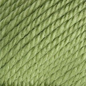 Bernat Satin Solid Yarn, 3.5 oz, Gauge 4 Medium Worsted, 100% Acrylic, Fern