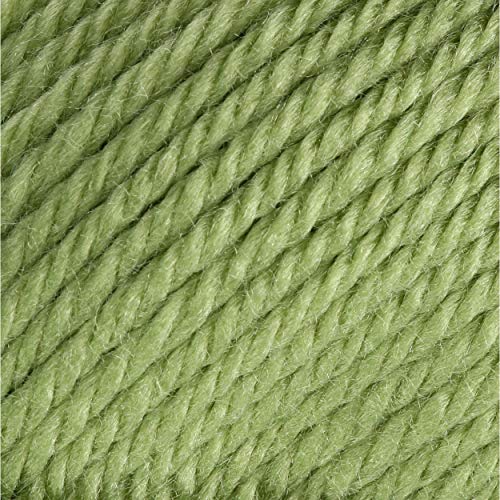 Bernat Satin Solid Yarn, 3.5 oz, Gauge 4 Medium Worsted, 100% Acrylic, Fern