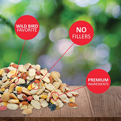 Lyric Fruit and Nut Wild Bird Seed - High Energy Wild Bird Food Mix - Attracts Woodpeckers, Chickadees & Other Songbirds - 20 lb bag