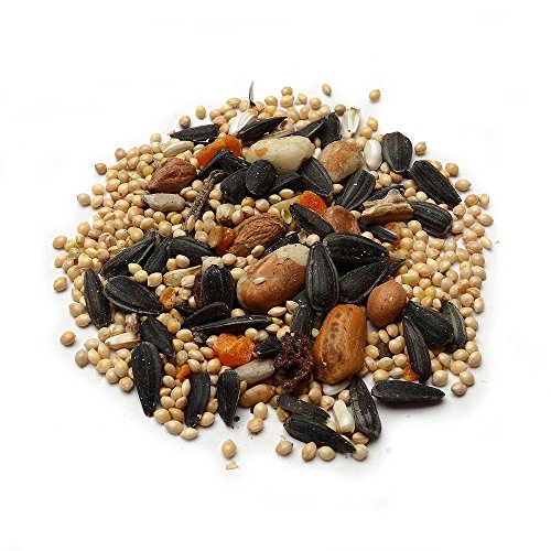 Audubon Park 12226 Nut and Fruit Blend Wild Bird Food, 5-Pounds