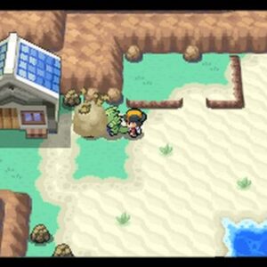 Pokemon HeartGold Version