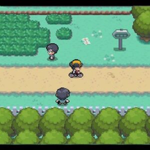 Pokemon HeartGold Version