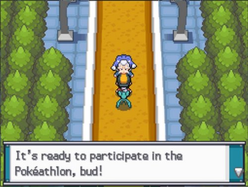 Pokemon HeartGold Version