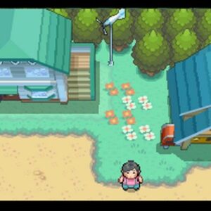 Pokemon HeartGold Version