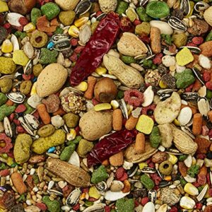 Kaytee Fiesta Parrot Food 2.5 lb