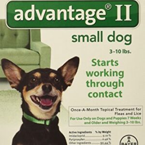 Bayer Animal Health Advantage II for Dogs 10 lbs and Under - 6 pack