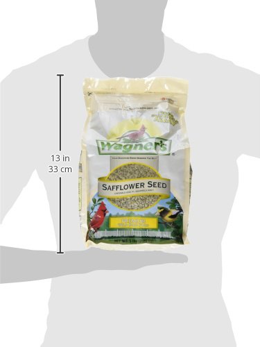 Wagner's 57075 Safflower Seed Wild Bird Food, 5-Pound Bag