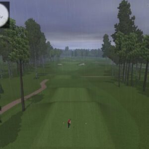 Hank Haney World Golf [Download]