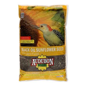 audubon park 12261 black oil sunflower seed wild bird food, 10-pounds