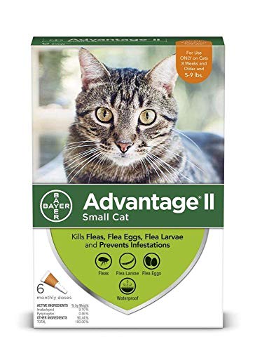 Advantage II 6pk Cat Orange 1-9 Lbs