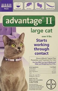 bayer advantage ii, cat, over 9 lbs, 6pk