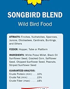 Audubon Park 12230 Songbird Blend Wild Bird Food, 5.5-Pounds, 4.5 lb, Green