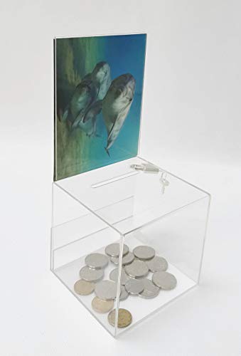 FixtureDisplays® 4.25 X 4.25 X 9.9" Small Acrylic Plexiglass Clear Donation Box Tip Offering Charity Fundraising Box 11040-AMAZON