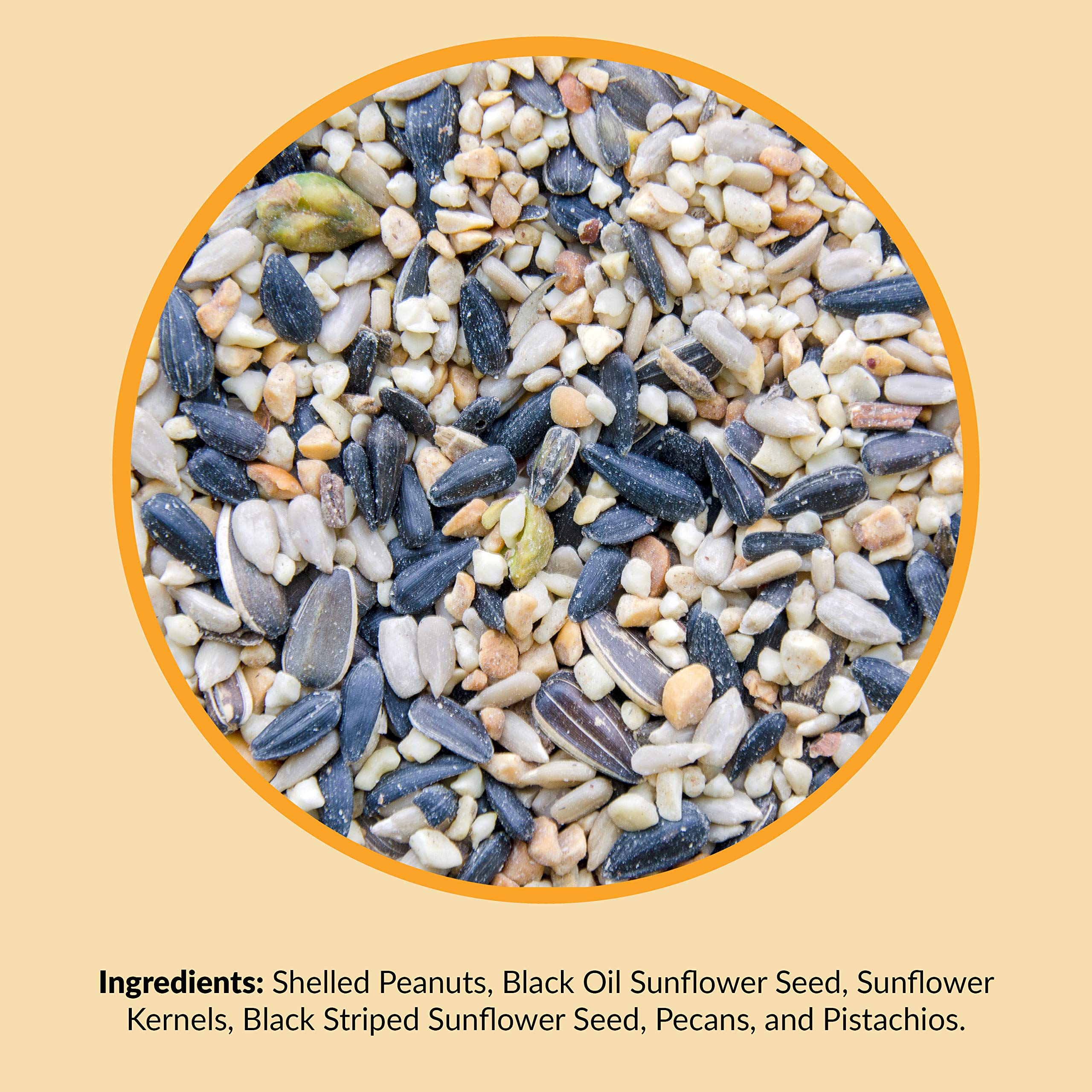 Lyric Chickadee Wild Bird Seed - Sunflower & Nut Premium Bird Food Mix for Chickadees, Nuthatches & Titmice - 4 lb bag