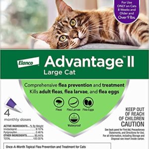 Advantage 2 flea control for cats and kittens over 9 lbs 4 month supply