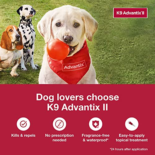 Bayer Animal Health Advantage II Large Dog 4-Pack