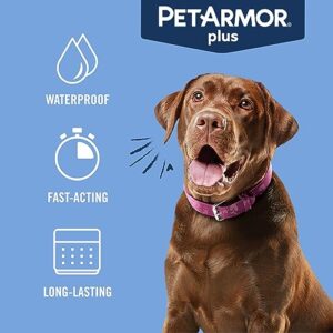 PetArmor Plus Flea and Tick Prevention for Dogs, Dog Flea and Tick Treatment, Waterproof Topical, Fast Acting, Large Dogs (45-88 lbs), 3 Doses