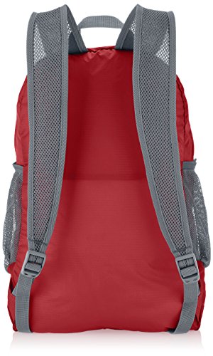 Amazon Basics Lightweight Packable Hiking Travel Day Pack Backpack - 17.5 x 17.5 x 11.5 Inches, 25 Liter, Red