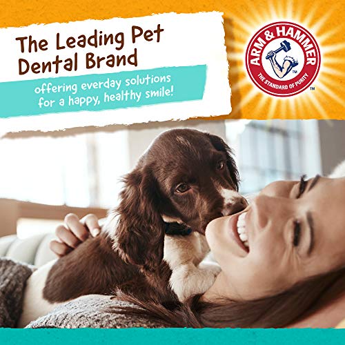 Arm & Hammer For Pets Twisters Dental Treats for Dogs | Dental Chews Fight Bad Breath, Plaque & Tartar without Brushing | Mint Flavor Dog Dental Treats