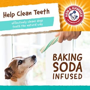 Arm & Hammer For Pets Twisters Dental Treats for Dogs | Dental Chews Fight Bad Breath, Plaque & Tartar without Brushing | Mint Flavor Dog Dental Treats