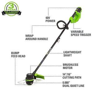 Greenworks 40V 14 inch Brushless Cordless String Trimmer, 2Ah Battery and Charger Included ST40L210