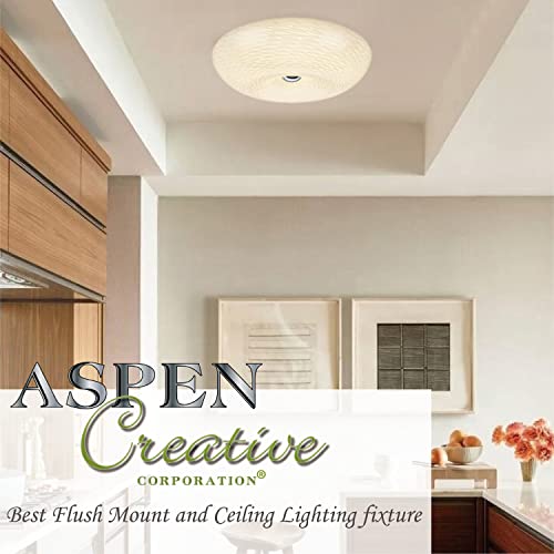 Aspen Creative 63001L LED Large Flush Mount Ceiling Light Fixture, Contemporary Design in Chrome Finish, Frosted Glass Diffuser, 18" Diameter