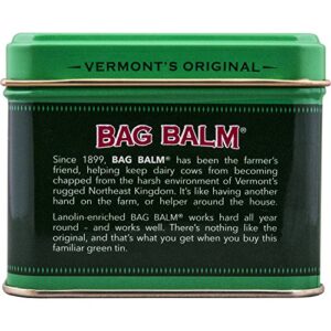 Vermont's Original Bag Balm for Dry Chapped Skin Conditions 8 Ounce Tin