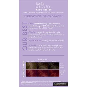 SoftSheen-Carson Dark and Lovely Fade Resist Rich Conditioning Hair Color, Permanent Hair Color, Up To 100 percent Gray Coverage, Brilliant Shine with Argan Oil and Vitamin E, Berry Burgundy