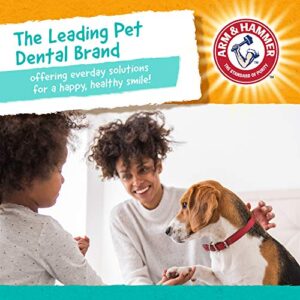 Arm & Hammer for Pets Ringers Dental Treats for Dogs | Dental Chews Fight Bad Dog Breath, Plaque & Tartar Without Brushing | Fresh Mint Flavor, 5 Count