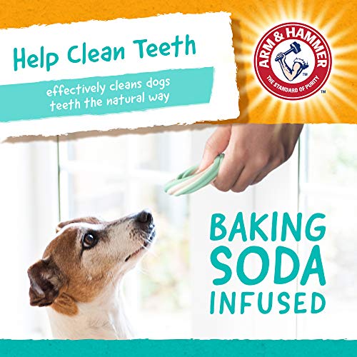 Arm & Hammer for Pets Ringers Dental Treats for Dogs | Dental Chews Fight Bad Dog Breath, Plaque & Tartar Without Brushing | Fresh Mint Flavor, 5 Count