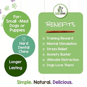 Nature Gnaws Small Bully Sticks for Dogs - Premium Natural Beef Dental Bones - Long Lasting Dog Chew Treats for Small Dogs & Puppies - Rawhide Free 15 Count (Pack of 1)