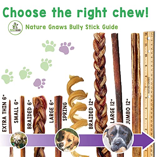 Nature Gnaws Small Bully Sticks for Dogs - Premium Natural Beef Dental Bones - Long Lasting Dog Chew Treats for Small Dogs & Puppies - Rawhide Free 15 Count (Pack of 1)