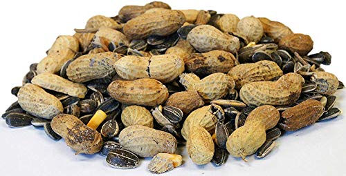 Backyard Seeds Squirrel & Friends Wildlife Chipmunk Food Mix 8 Pounds