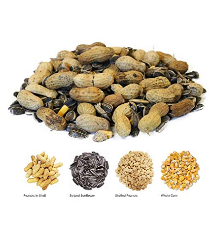 Backyard Seeds Squirrel & Friends Wildlife Chipmunk Food Mix 8 Pounds