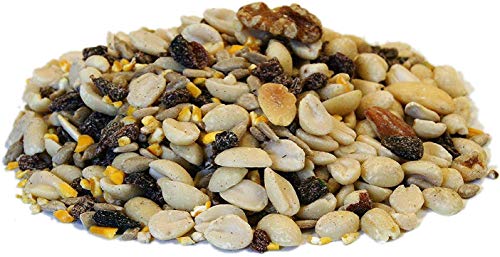 Backyard Seeds Woodpecker Shelled Peanuts Mixed Bird Seed with Sunflower Chips, Pumpkins, Raisins (5 Pounds)